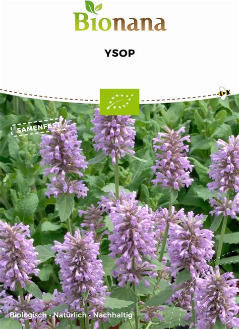 Bionana Bio Hyzop 1 Opakowanie Bloomling Produkty Dla Twojego Ogrodu