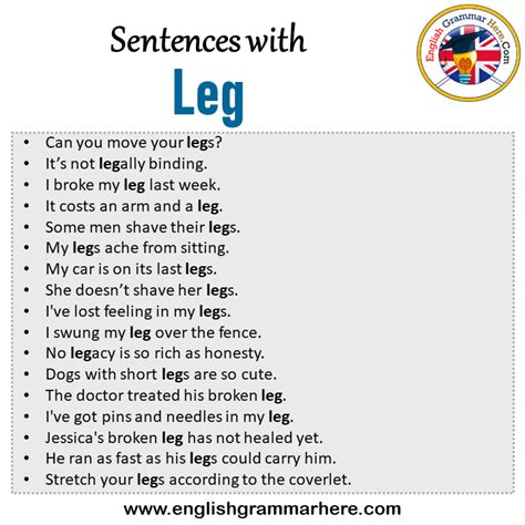 Sentences With Leg Leg In A Sentence In English Sentences For Leg