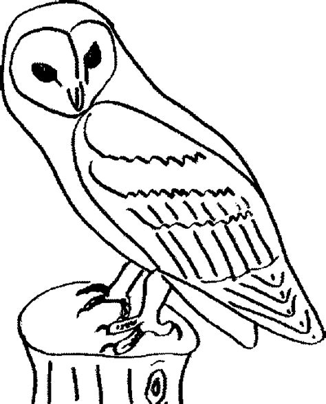 coloriage à dessiner chouette hibou