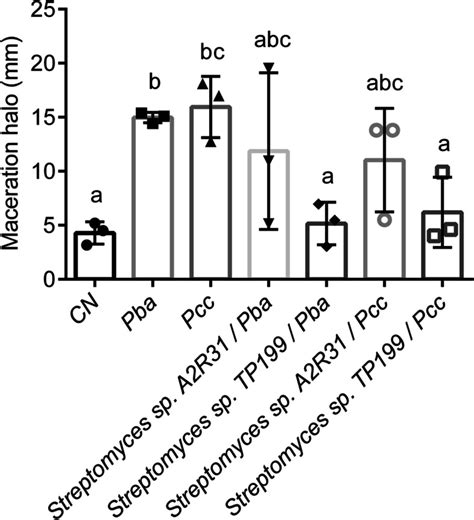 Antagonistic Activity Of Endophytic Actinobacteria From Native Potatoes