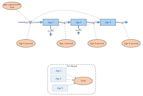 Age Structure Lab Skeleton Insight Maker