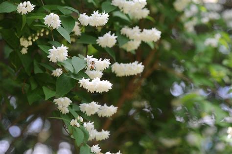 한산시寒山詩 001