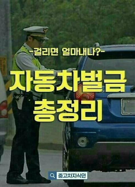 자동차벌금 총정리
