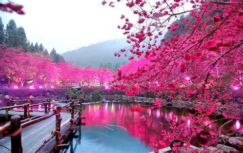 صور طبيعة خلابة