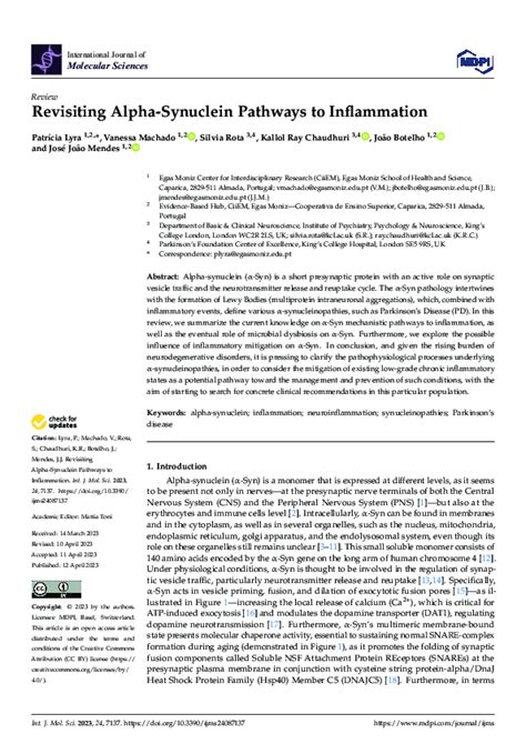 Pdf Revisiting Alpha Synuclein Pathways To Inflammation