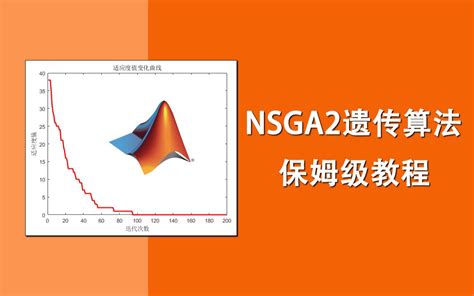NSGA2多目标优化案例保姆级教程纯手打代码 视频下载 Video Downloader