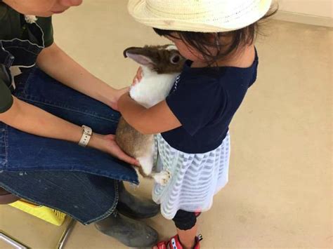 京都市動物園 新しくなった京都市動物園はもう行きましたか この春はお花見も楽しめる動物園へ デジスタイル京都京都のイベント