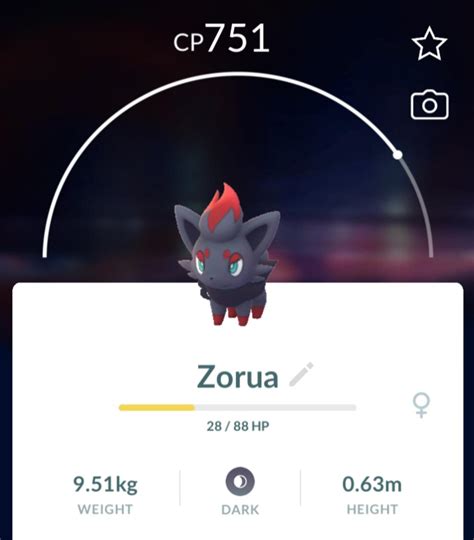 How Has This Zoura Lost Hp I Only Just Caught It R Pokemongo