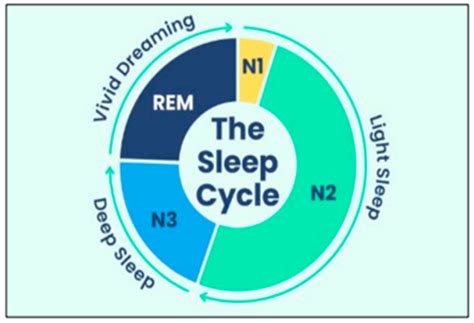 Employing A Convolutional Neural Network To Classify Sleep Stages From Eeg Signals Using Feature