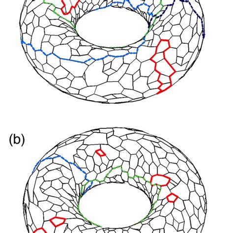 A Graph Embedded On A Toroidal Surface Highlighted Are Example Basis Download Scientific