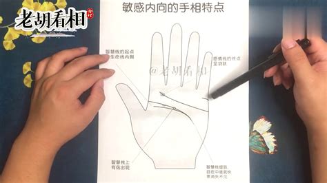 手相看性格敏感内向的手相特点老胡看相 YouTube