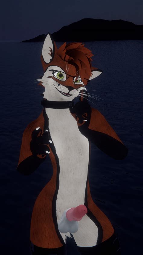 Rule 34 Anthro Anthro Only Canid Canine Folf Fox Fur Furry Furry Only