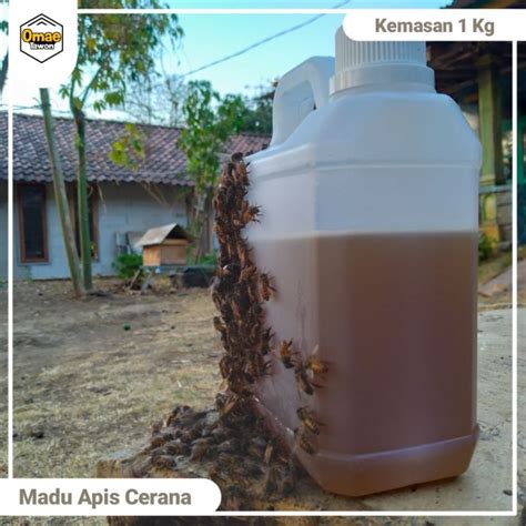 Jual MADU HUTAN MURNI LEBAH LIAR Apis Cerana Asli Murni 100 Tanpa