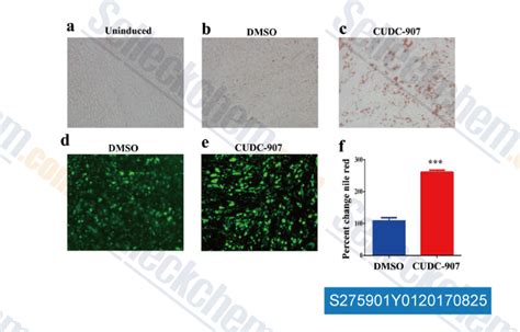 Hdac Hdac Inhibitor