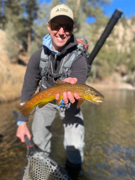 Proview Lamson Fly Fishing Liquid Outfit With Fly Line Leader And