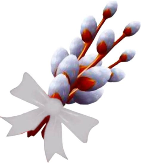 Верба картинка для детей