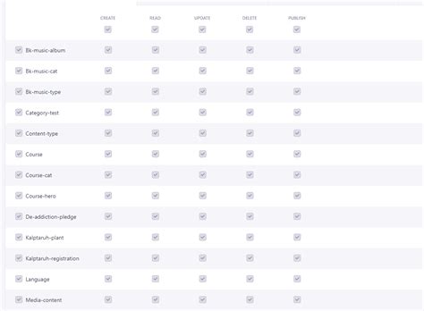 In Strapi Version 492 Not Able To See All The Model Created In Role