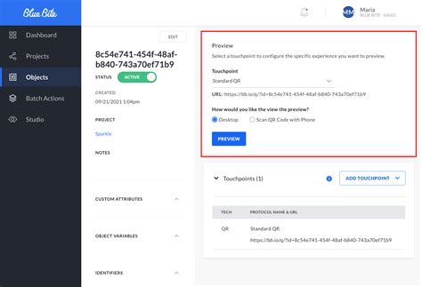 V Object Manager Overview