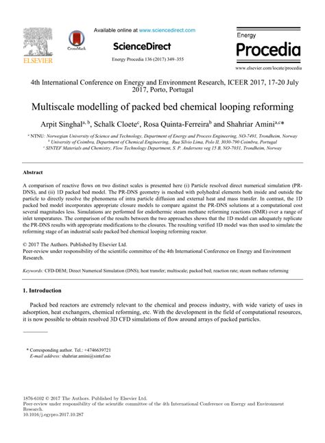 pdf multiscale modelling of packed bed chemical looping reforming