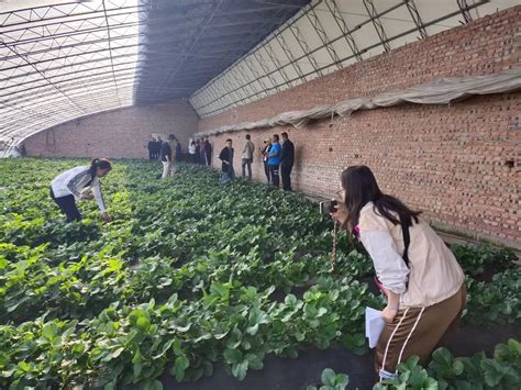 国家人权行动计划实施成果主题采访团深入到突泉县开展调研采访活动澎湃号·政务澎湃新闻 The Paper