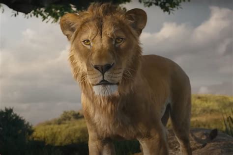 ‘mufasa El Rey León Reparto Doblaje Y Más Sobre La Nueva Película