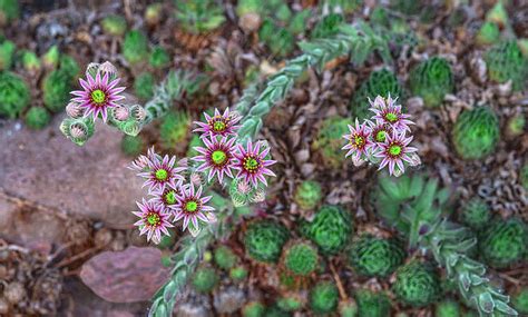 Assertion Art Fine Art America