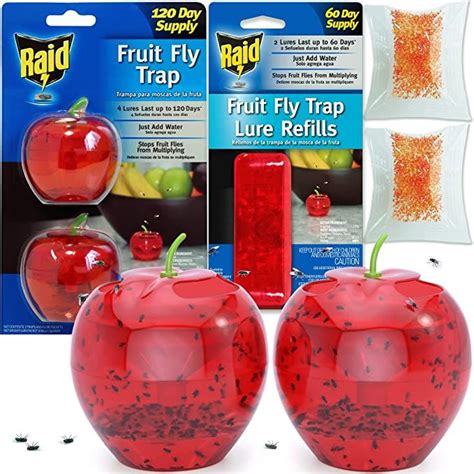 Fruit Fly Traps For Indoors By Raid Effective Fly Catcher