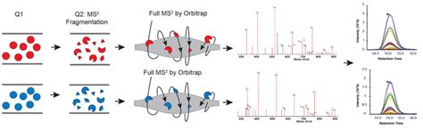 Schematic View Of Combining Parallel Reaction Monitoring To 15 N