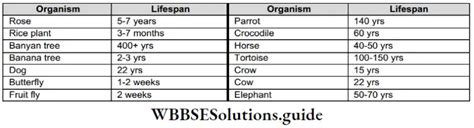 Neet Biology Class 12 Reproduction In Organisms Notes Wbbse Solutions