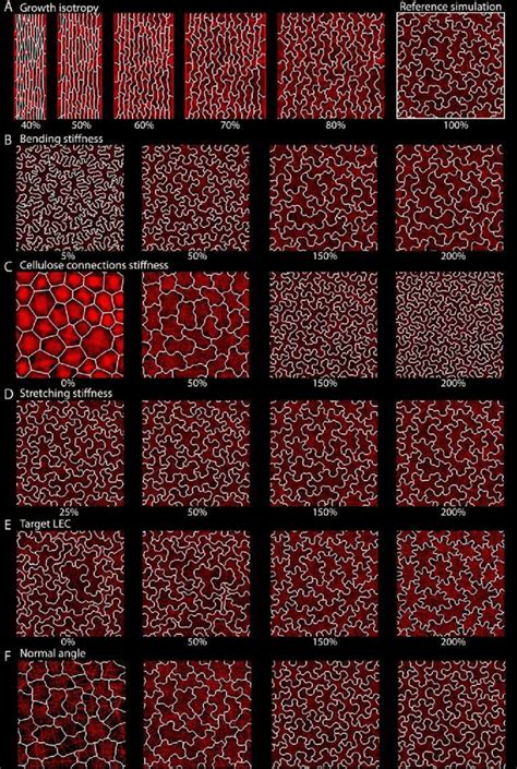 figure supplement 1 parameter space exploration for key model