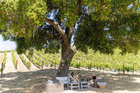 Where To Eat Stay Play And Of Course Drink Wine In Paso Robles