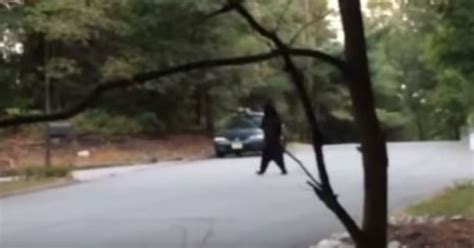 [영상] 웅녀의 환생 사람처럼 두발로 걷는 곰 알고보니