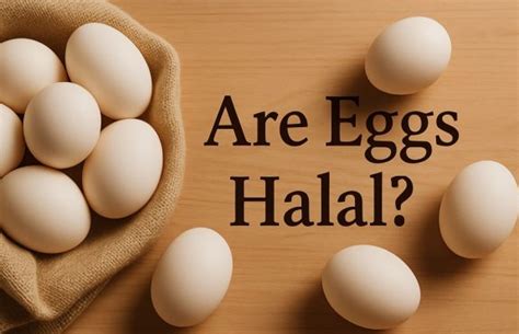 Is Starburst Halal 2025 The Truth Every Muslim Must Know Halal Or Haram