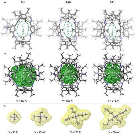 Dft Calculated Structures Of The Three Cages 3‐h 3‐me And 3‐et In Dcm