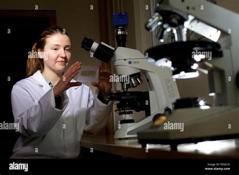 Female Babe Using A Microscope Stock Photo Alamy