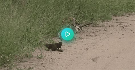 Im Dead Album On Imgur