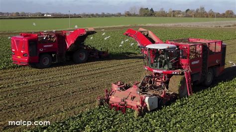 4kᵁᴴᴰ Harvest 2022 Sugar Beet Harvesting Again With Two Vervaet Q 616