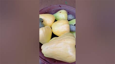වෙසක් මහේ රස පලතුරු 😊 Youtubeshort Fruit Srilanka Youtube