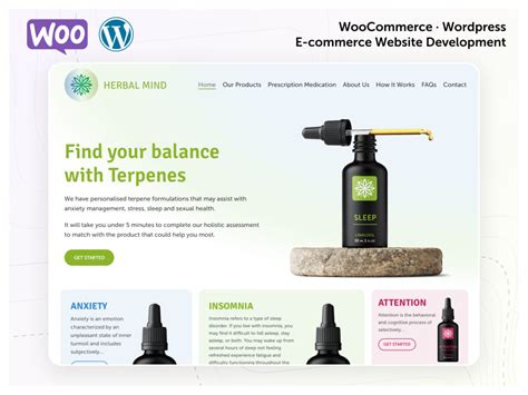 Modern And Beautiful Ecommerce Website On Woocommerce High Quality