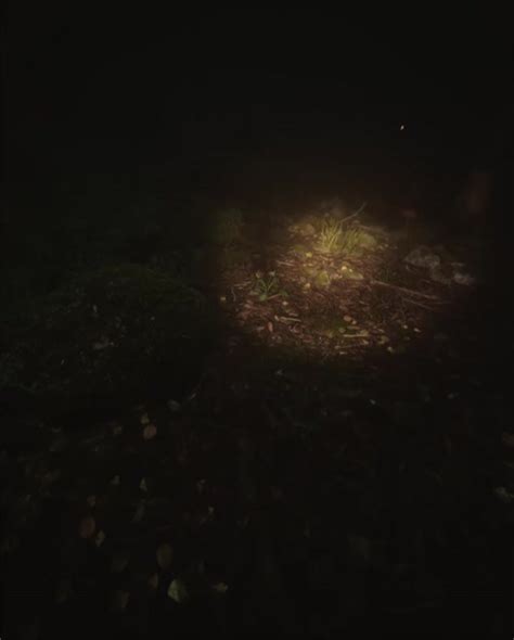 Video Pasquale Scionti On Linkedin Ue4 Ue5 Gameplay Realism Unrealengine5 Lumen Horror