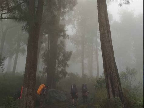 Pengalaman Mistis Di Alas Lali Jiwo Gunung Arjuno Tagar