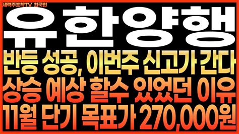유한양행 주가전망 반등 성공 이번주 신고가 간다 상승 예상 할수 있었던 이유 11월 단기 목표가 270000원