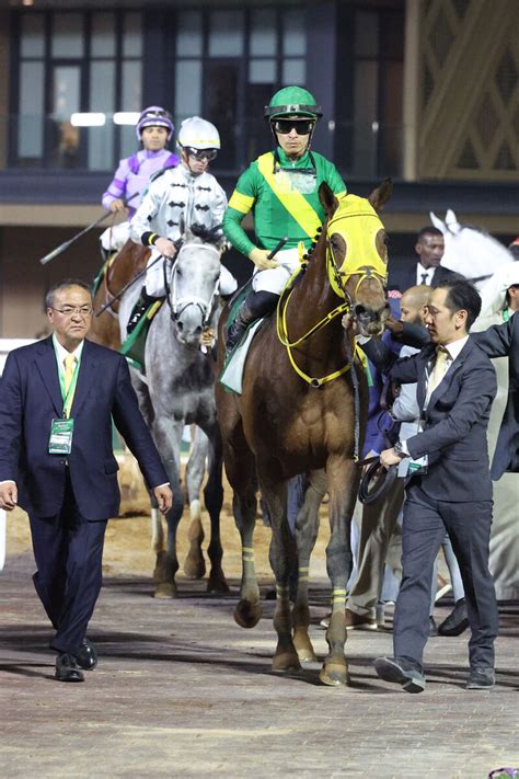 【注目馬動向】サウジc2着のウシュバテソーロは予定通り連覇目指しドバイwcへ セットアップは帰国へ スポーツ報知