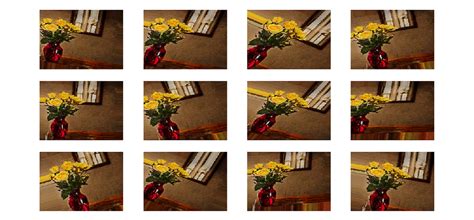 Effects Of Image Augmentation On Model Performance By Sanchit Tanwar Analytics Vidhya Medium