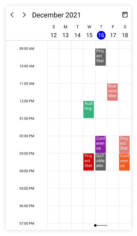 Day And Week Views In Net Maui Scheduler Control Syncfusion®