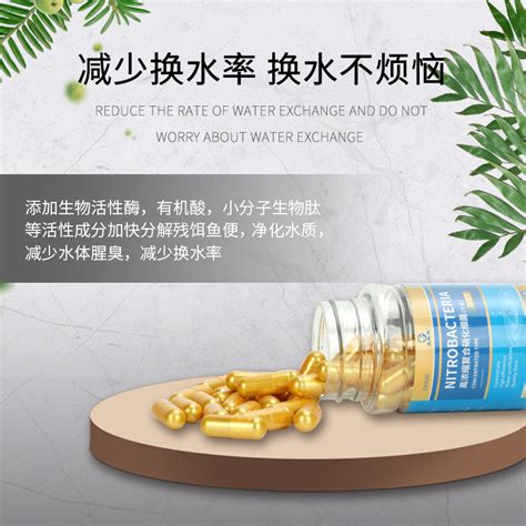 硝化细菌鱼缸水族箱硝化菌干粉鱼缸水质净化消化细菌硝化细菌胶囊 虎窝淘