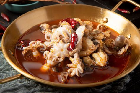 辣卤八爪鱼图片素材 辣卤八爪鱼设计素材 辣卤八爪鱼摄影作品 辣卤八爪鱼源文件下载 辣卤八爪鱼图片素材下载 辣卤八爪鱼背景素材 辣卤八爪鱼模板下载 搜索中心