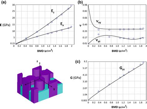 Numerical Results From The Finite Element Analysis With Markers And