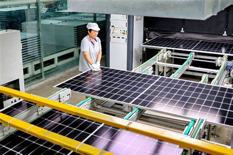 中國削價競爭 歐太陽能產業瀕危 自由財經
