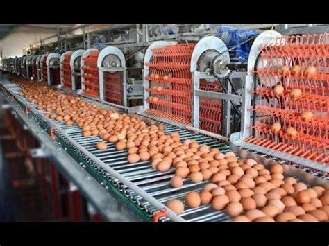 AMAZING Food Industry Machines That Are At Another Level Modern Food Food Industry Food
